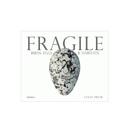 Fragile: Birds, Eggs and Habitats